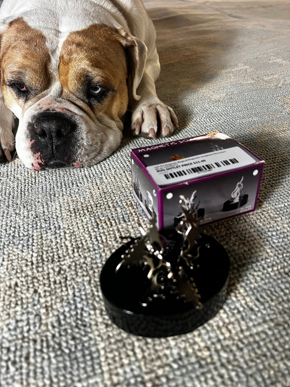 Job the Magician Magical Magnetic Sculpture Dinosaurs – Banana Manor ...